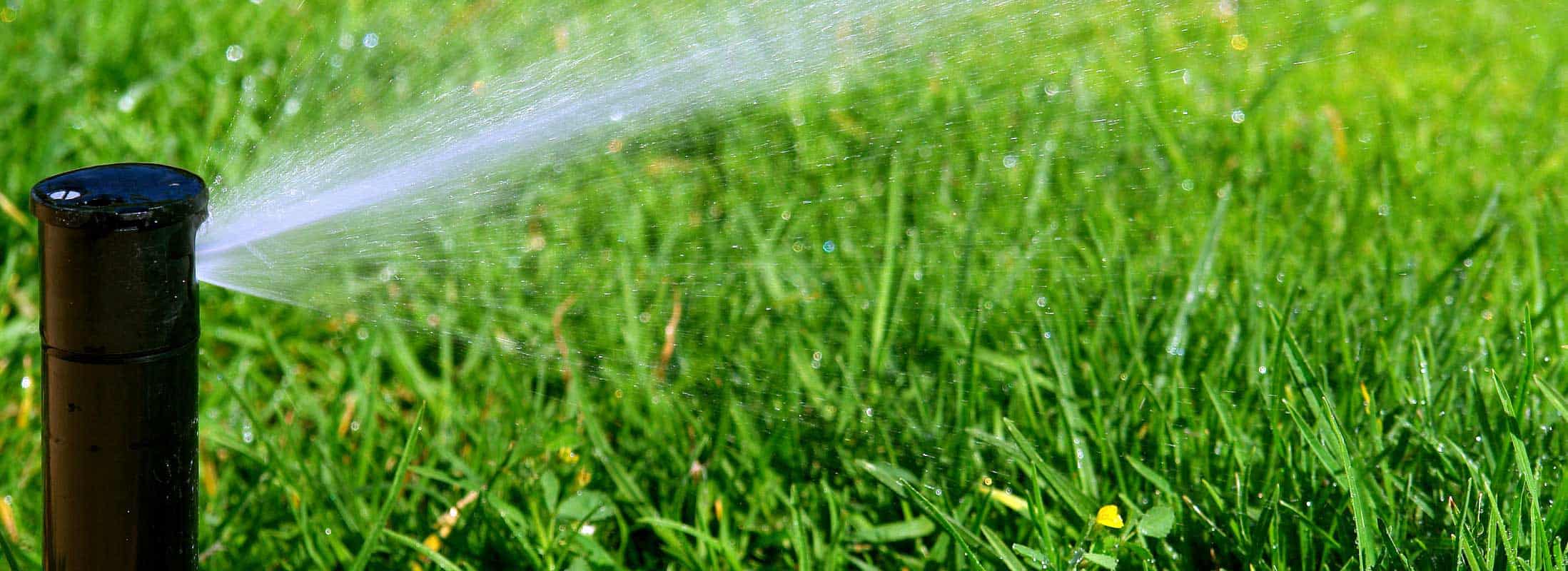 Services - GreenPro does Weed Control & Landscaping